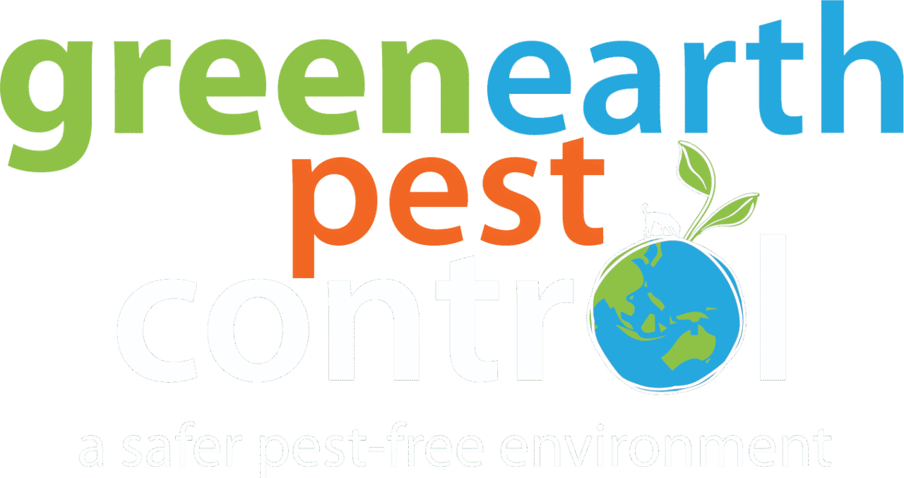 Pest Control Perth. Safe & Reliable Experts